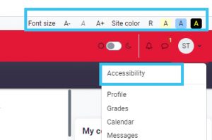 Moodle Support